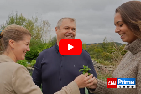 Příběh Green idea na CNN Prima NEWS - Greenidea.cz
